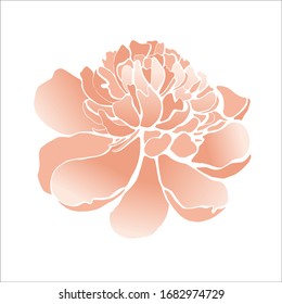 Beautiful Vector One Pink Peony Stock Vector (Royalty Free) 1682974729 ...