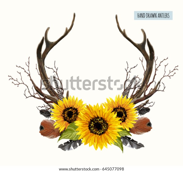 Beautiful Vector Set Horns Hand Drawn Stock Vector (Royalty Free ...