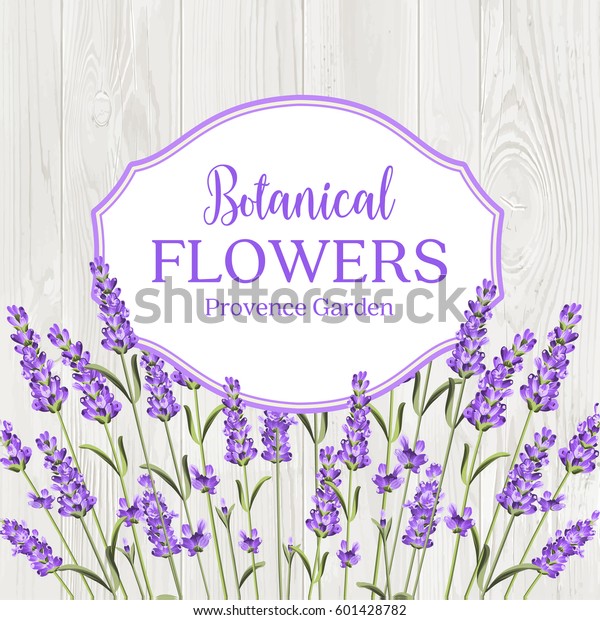 Beauty Lavander Label Design Border Over Stock Vector (Royalty Free ...