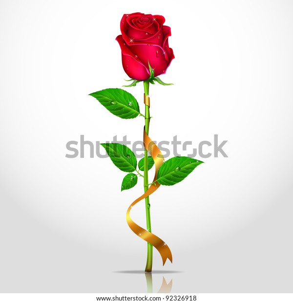 Beauty Red Rose Ribbon Vector Illustration: Stock-Vektorgrafik ...