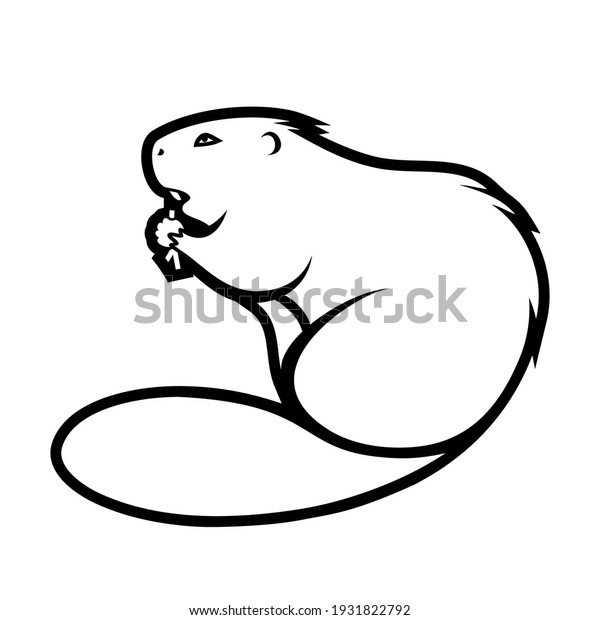 Beaver Animal Isolated Outlined Vector Illustration Stock Vector ...