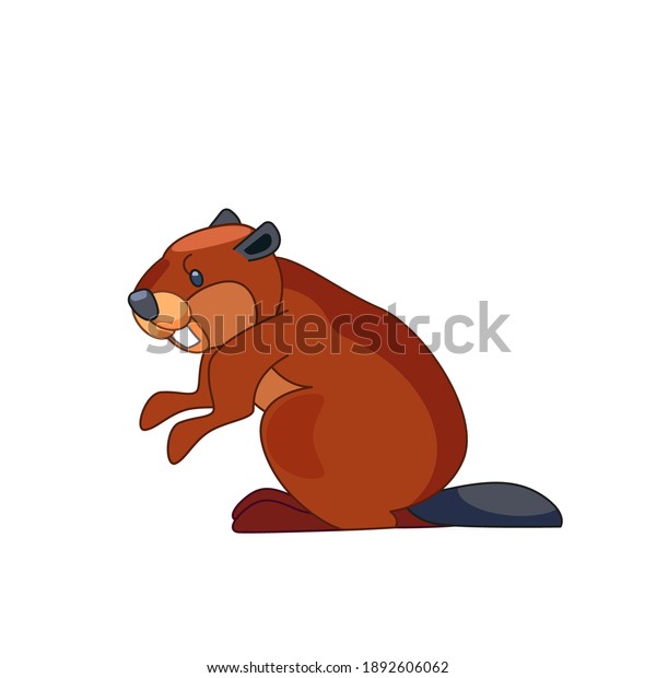 Beaver Builder Looks Around Surprise Cartoon Stock Vector (Royalty Free ...