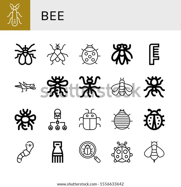 Bee Icon Set Collection Stonefly Fly Stock Vector (Royalty Free ...
