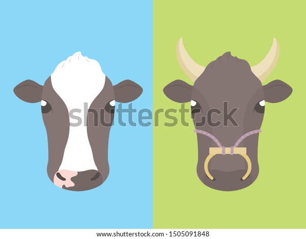 Vektor Stok Beef Cow Dairy Cow Vector Illustration (Tanpa Royalti ...