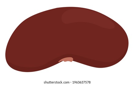 8 Raw beef kidney Stock Vectors, Images & Vector Art | Shutterstock