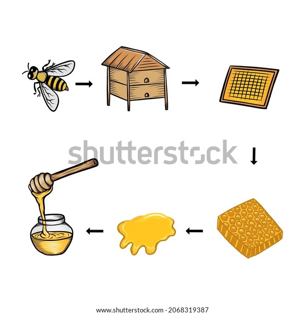 Beekeeping Process Vector Honey Production Process Stock Vector ...