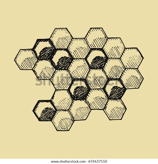 Bees Honeycomb Sketch Hand Drawing Vector Stock Vector (Royalty Free ...
