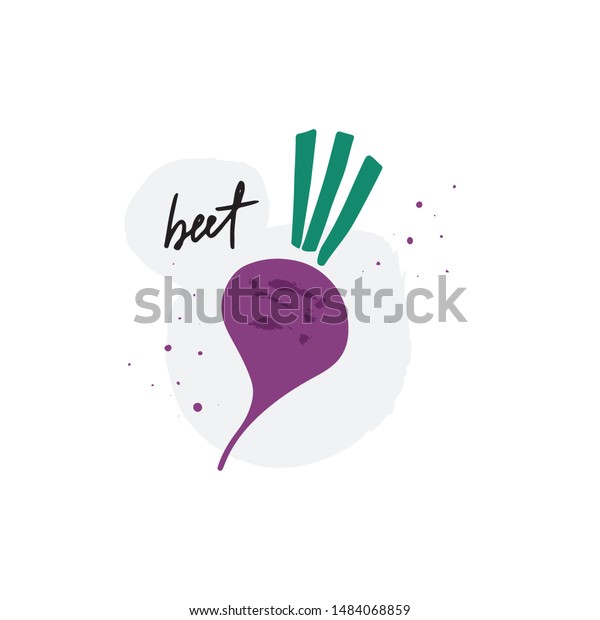 Beet Flat Vector Illustration Beet Handwritten Stock Vector (Royalty ...