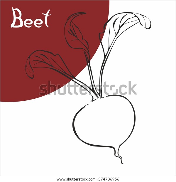 Beet Logo Stock Vector (Royalty Free) 574736956 | Shutterstock