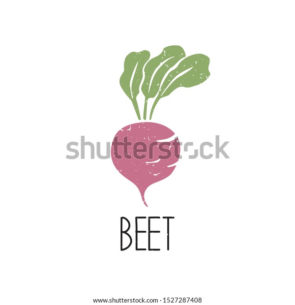 Beet Symbol Isolated On Transparent Background Stock Vector (Royalty ...