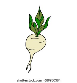 875 Sugar beet drawing Images, Stock Photos & Vectors | Shutterstock