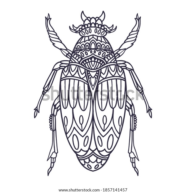 Beetle Hand Drawn Vector Illustration Doodle Stock Vector (Royalty Free ...