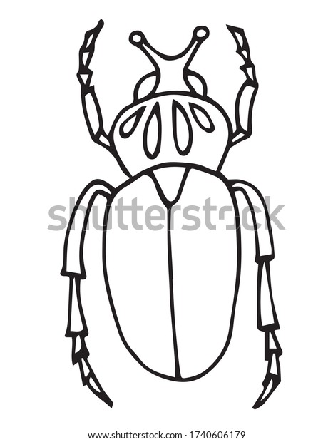 Beetle Outline Vector Illustration Hand Drawn Stock Vector (Royalty ...