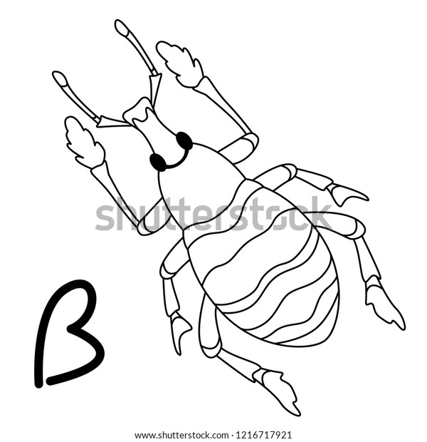 Beetle Weevil Vector Illustration Coloring Book Stock Vector (Royalty ...