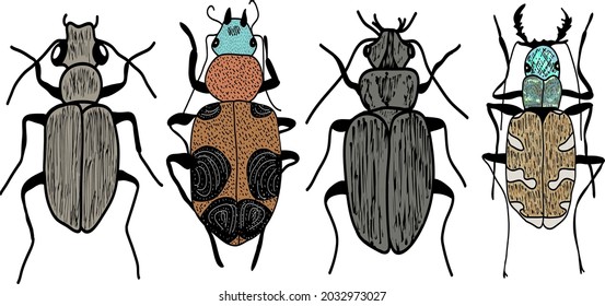 Beetles Vector Illustration Set Color Stock Vector (Royalty Free ...