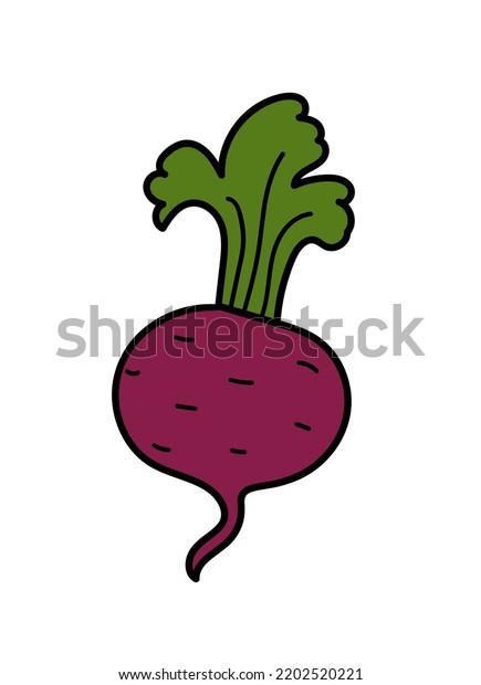 Beetroot Doodle Vector Icon Illustration Isolated Stock Vector (Royalty ...