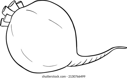 Beetroot Hand Drawn Coloring Pages Vector Stock Vector (Royalty Free ...