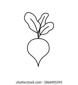 Beetroot Outline Icon Food Outline Vector Stock Vector (Royalty Free ...