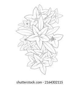 Bell Flower Drawing Coloring Page Doodle Stock Vector (Royalty Free ...
