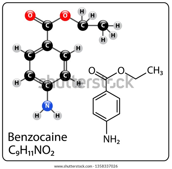 Benzocaine Molecule Structure Stock Vector (Royalty Free) 1358337026