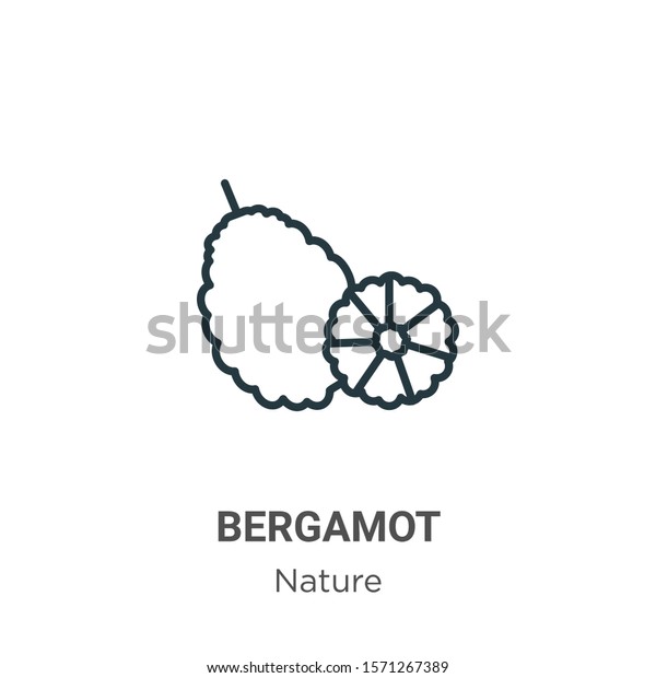 Bergamot Outline Vector Icon Thin Line Stock Vector (Royalty Free ...