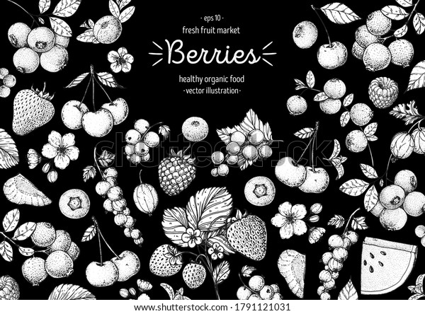 Berries Drawing Collection Hand Drawn Berry Stock Vector (Royalty Free ...