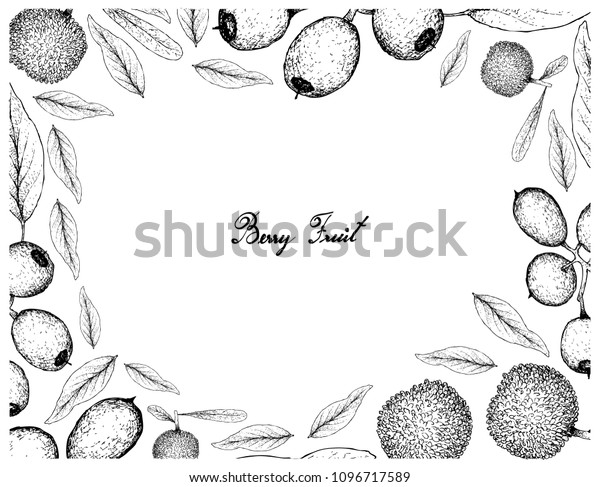 Berry Fruit Illustration Frame Hand Drawn Stock Vector (Royalty Free ...