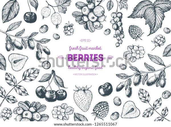 Berry Hand Drawn Vector Illustration Frame Stock Vector (Royalty Free ...