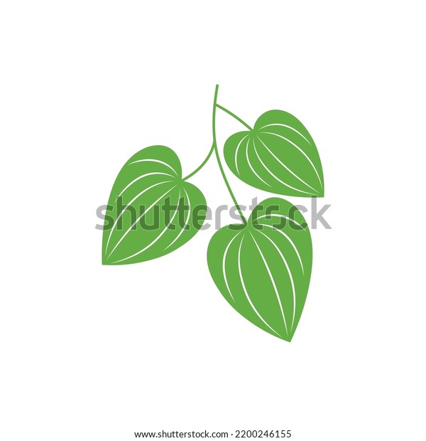 Betel Leaf Logo Icon Vector Illustration Stock Vector (Royalty Free ...
