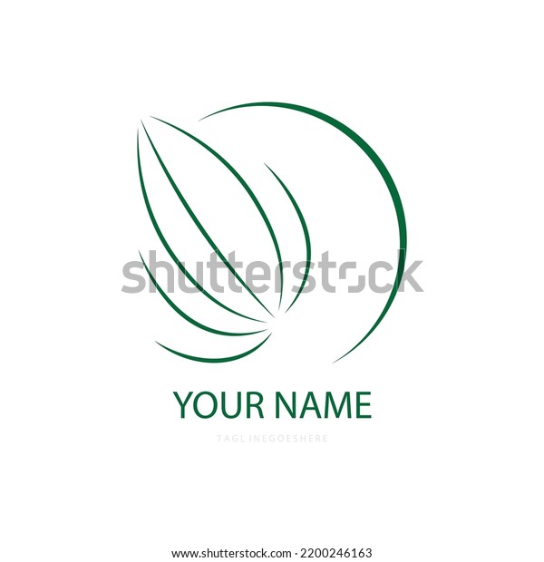 Betel Leaf Logo Icon Vector Illustration Stock Vector (Royalty Free ...