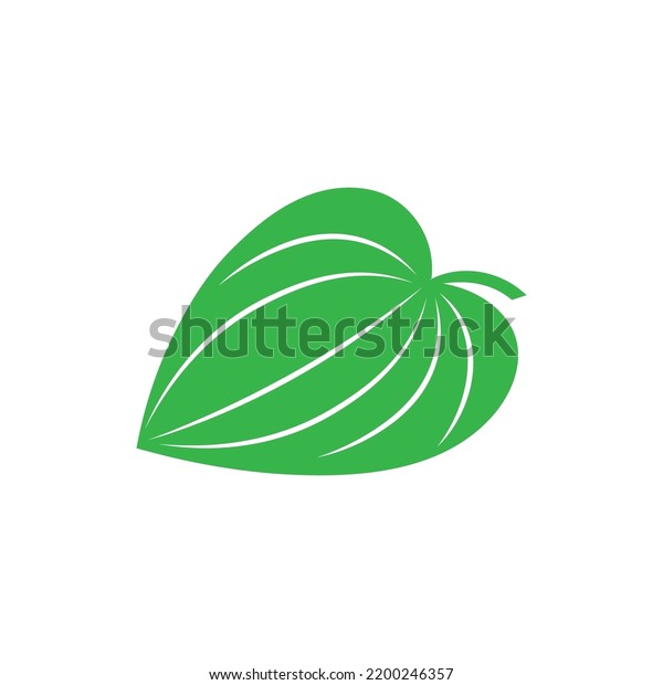 Betel Leaf Logo Icon Vector Illustration Stock Vector (Royalty Free ...