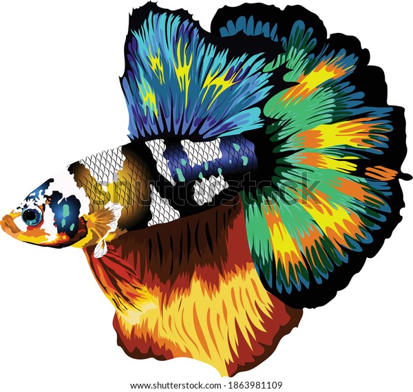 Betta Fish Illustration Vector File Stock Vector (Royalty Free ...