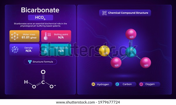 Bicarbonate Properties Chemical Compound Structure Stock Vector ...