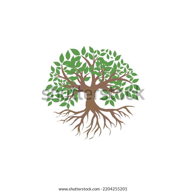 Big Banyan Tree Roots Icon Vector Stock Vector (Royalty Free ...