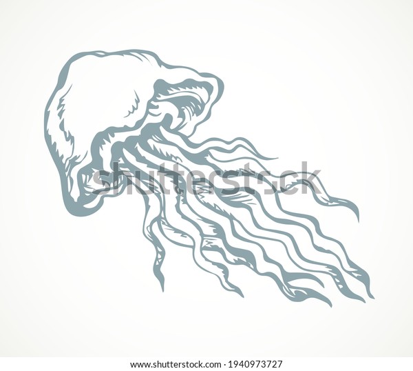 Big Blubber Feeler Palpus Nettle Fish Stock Vector (Royalty Free ...
