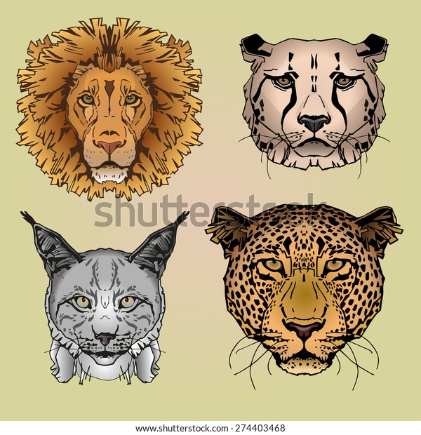 Big Cats Portrait Image Set Postcards Stock Vector (Royalty Free ...