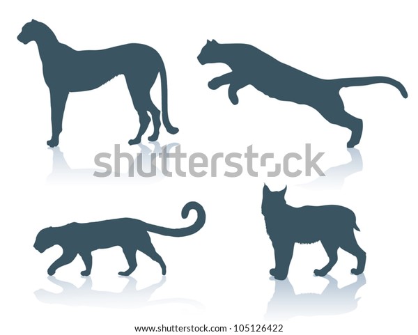 Big cats - vector illustration