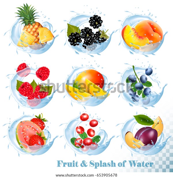 Big Collection Fruit Water Splash Icons Stock Vector (Royalty Free ...