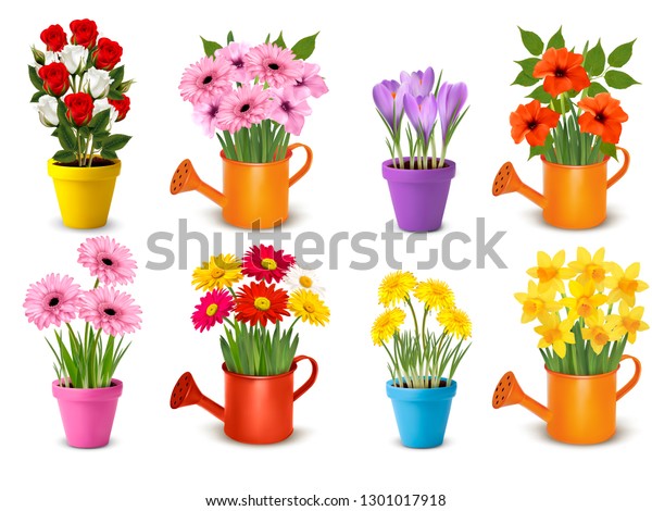 Big Collection Spring Summer Colorful Flowers Stock Vector (Royalty ...