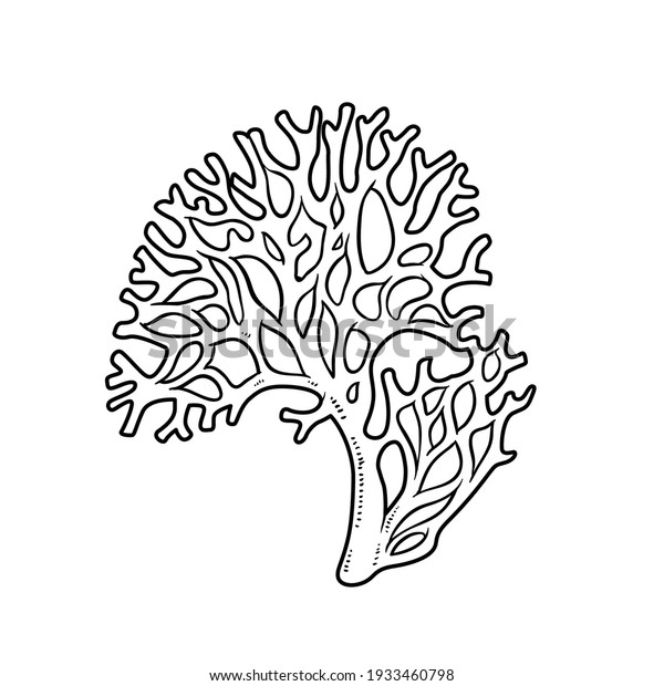 Big Coral Polyps Coloring Book Linear Stock Vector (Royalty Free ...