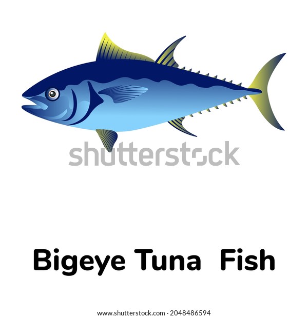 Big Eye Tuna Flat Icon Seafood Stock Vector (Royalty Free) 2048486594