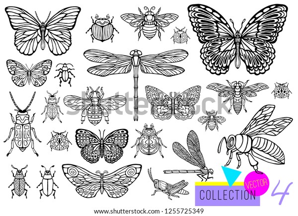 Big Hand Drawn Line Set Insects Stock Vector (Royalty Free) 1255725349 ...