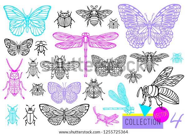 Big Hand Drawn Line Set Insects Stock Vector (Royalty Free) 1255725364 ...