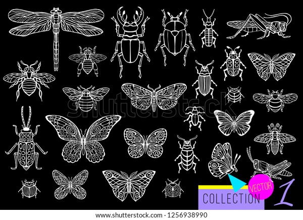 Big Hand Drawn Line Set Insects Stock Vector (Royalty Free) 1256938990 ...