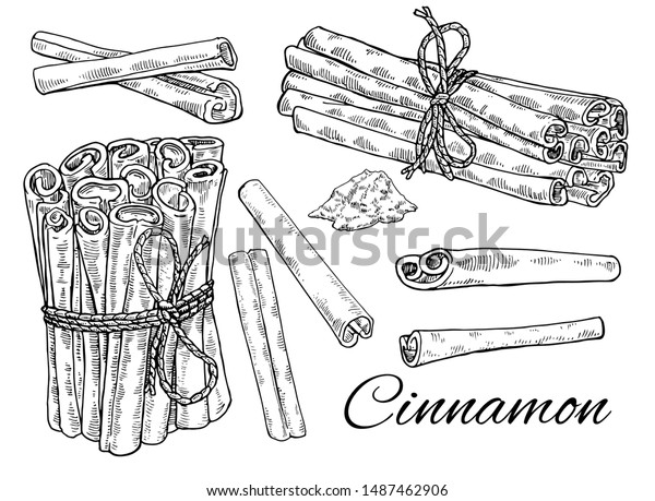 Big Ink Cinnamon Hand Drawn Set Stock Vector (Royalty Free) 1487462906
