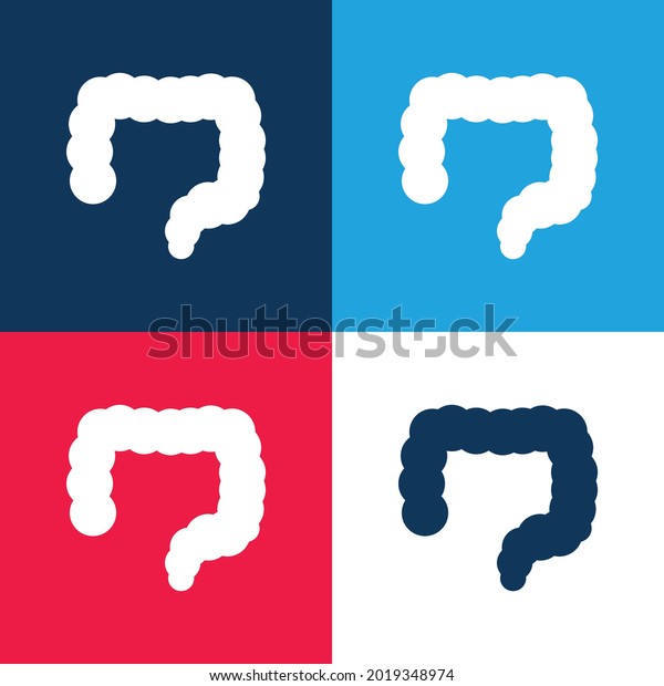 Big Intestines Blue Red Four Color Stock Vector (Royalty Free ...