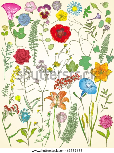 Big Plant Flower Set Over 40 Stock Vector (Royalty Free) 61359685 ...