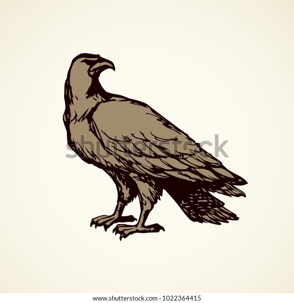 Big Pride Hieraaetus Accipitrine On Land Stock Vector (Royalty Free ...