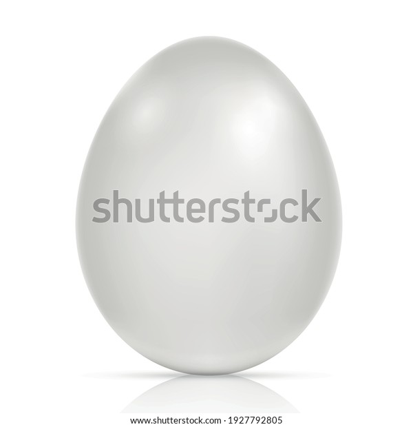 Big Realistic White Chicken Egg Shadow Stock Vector (Royalty Free ...