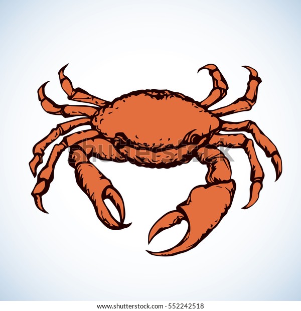 Big Red Decapod Isolated On White : image vectorielle de stock (libre ...